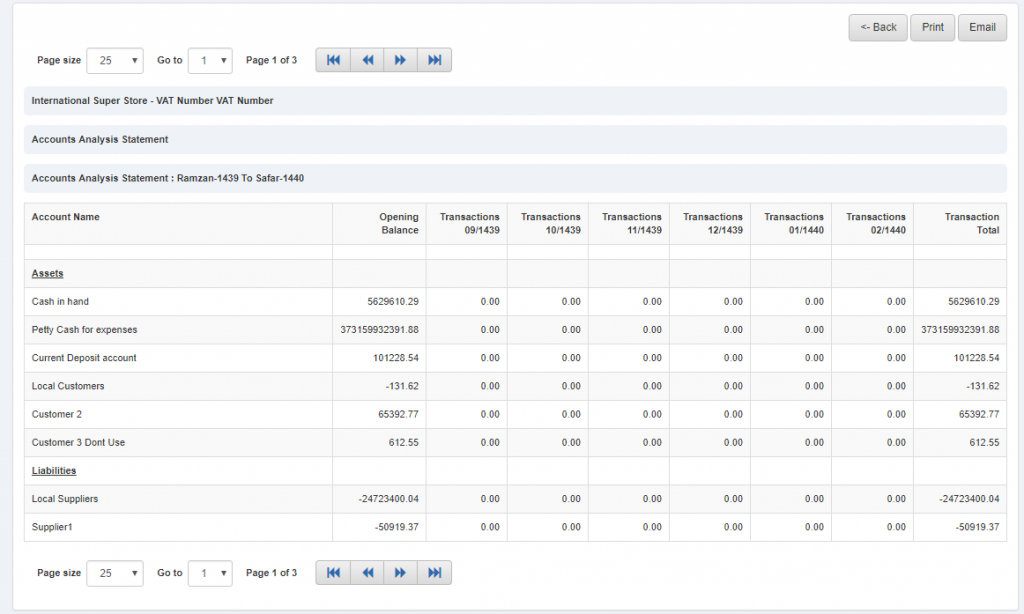 Accounts Analysis Statement - SMACC Accounting Software Documentation